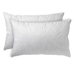 Twin Pack Pillows – Linen Factory Store